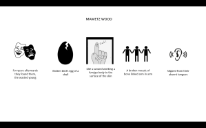 Dual Coding the EDUQAS Poetry Anthology – LEARNING DESIGN by Paul G Moss